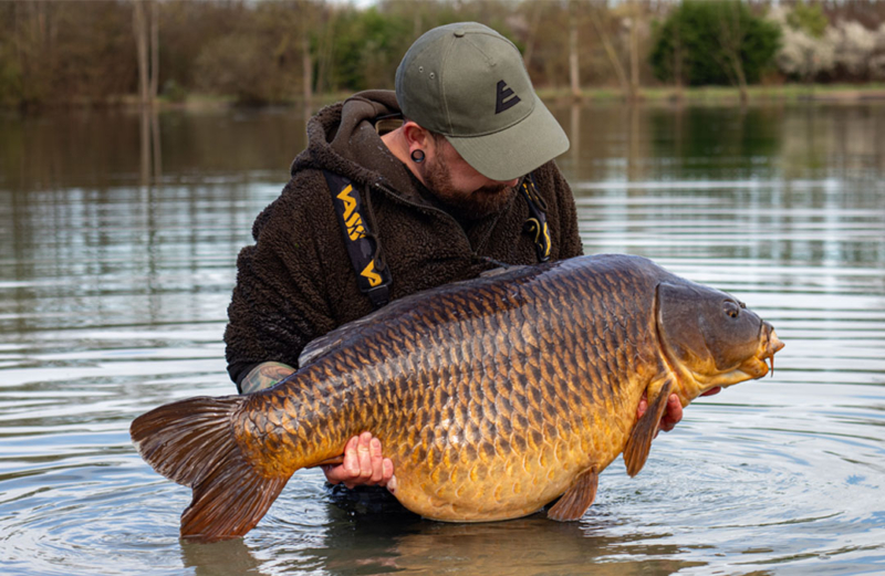 Media – Evolve Tackle